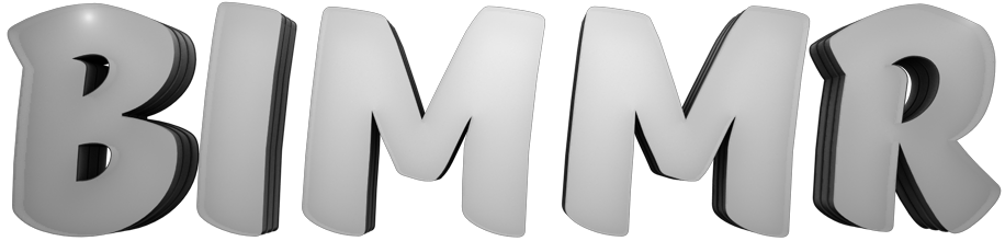 Randy Bimm - Developer